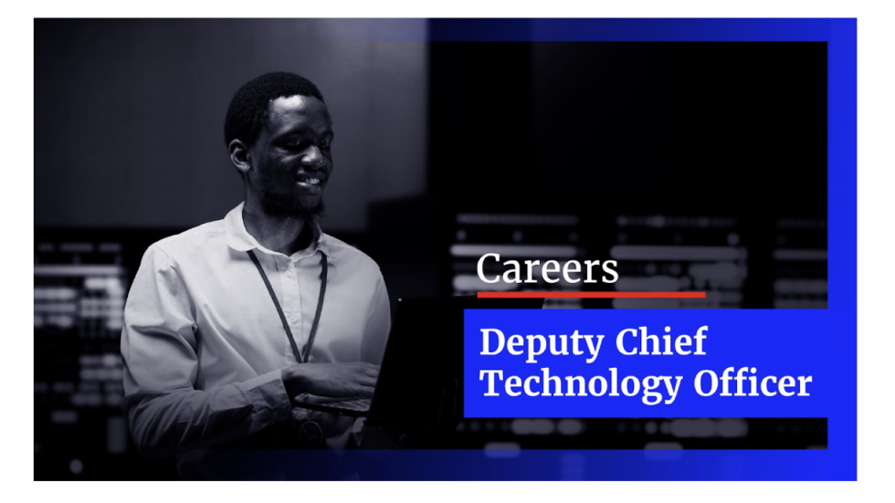 Deputy Chief Technology Officer (CTO): Championing Digital ...